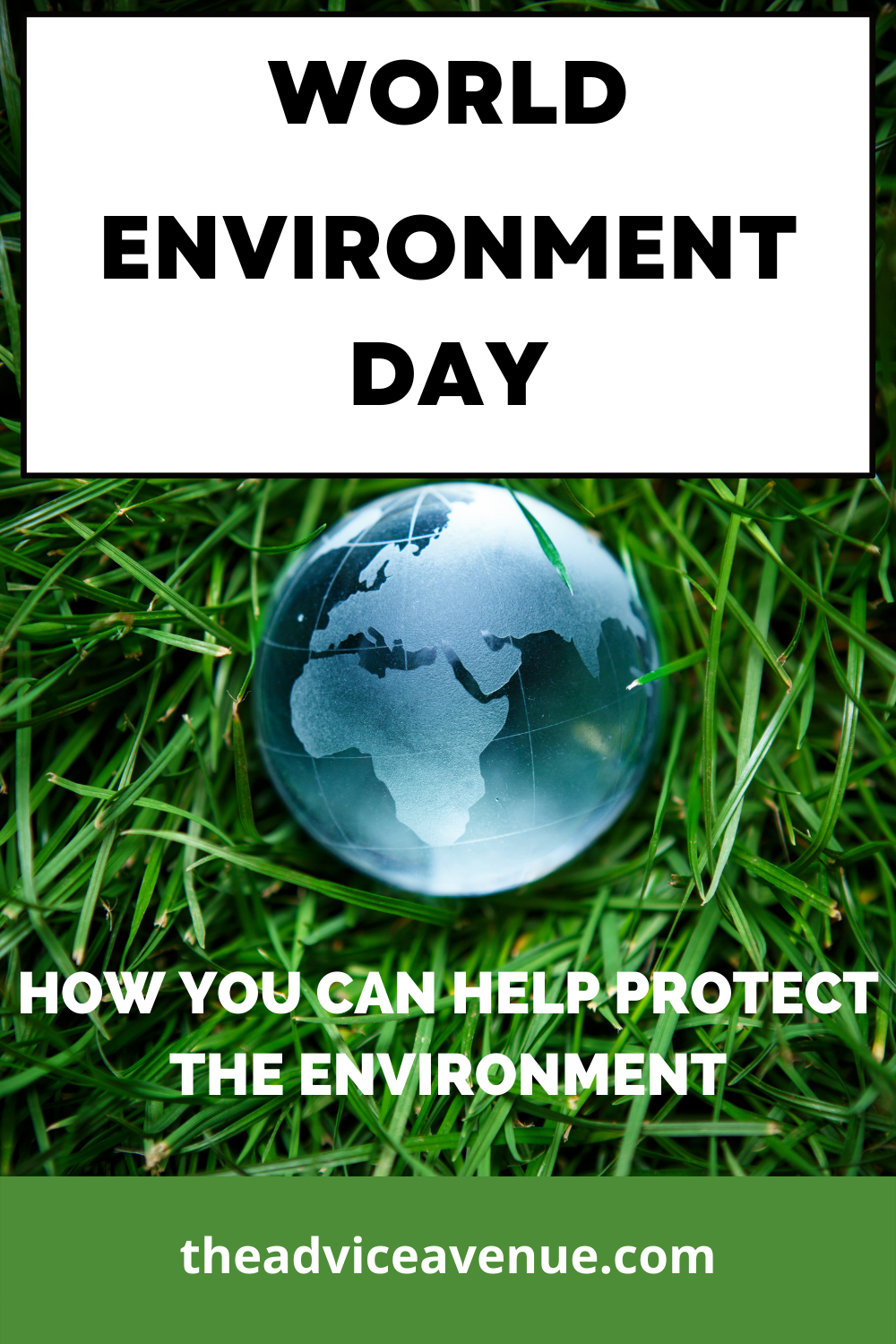 World Environment Day - How You Can Help Protect The Environment - The ...